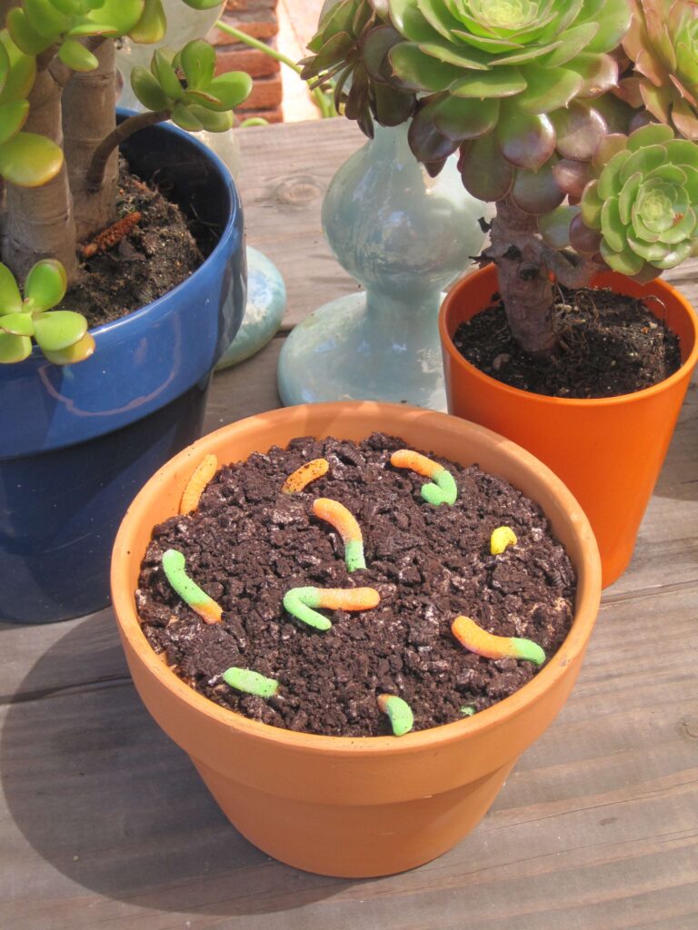 How to Make a Worm and Dirt Cake | Lloyd Pest Control